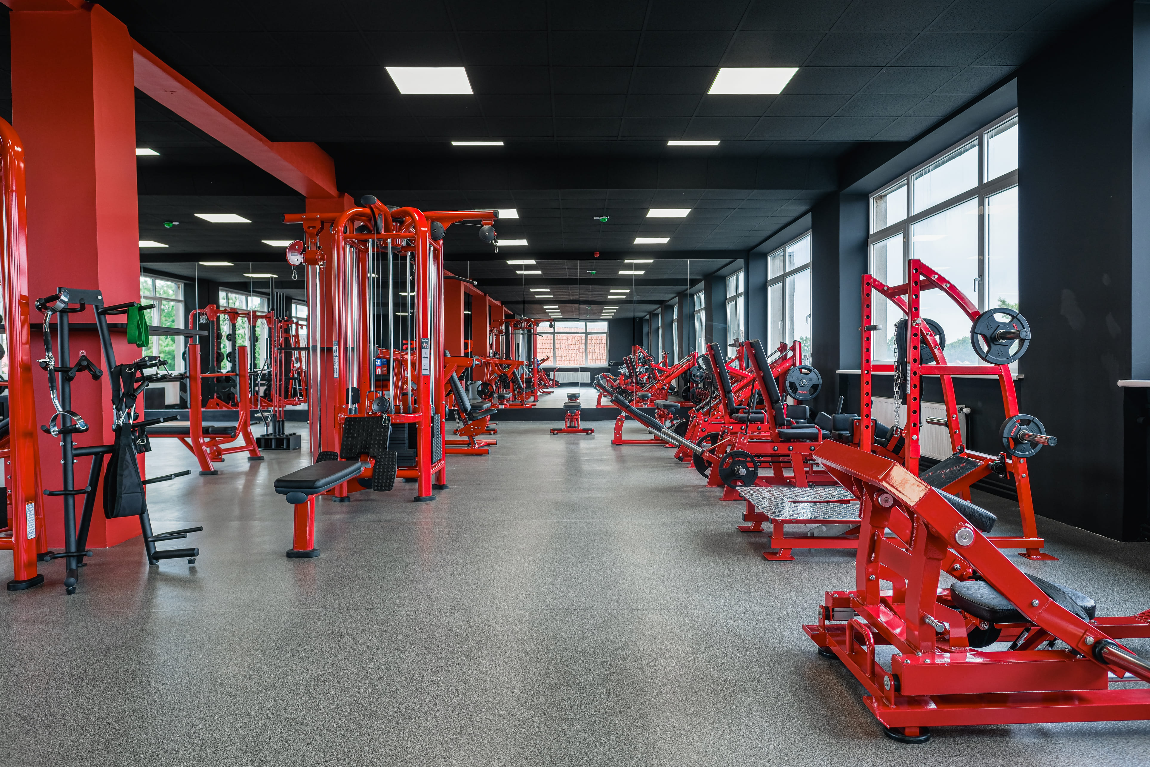 Ozols | Sporta klubs